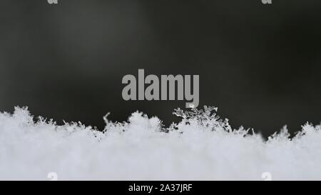 natural snowflakes on snow, photo real snowflakes during a snowfall ...