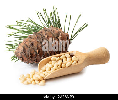 Cedar nuts in wooden scoop over heap of cedar nuts Stock Photo - Alamy