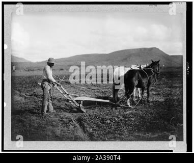 Sacaton Indian Reservation. Indian plowing his land Stock Photo - Alamy