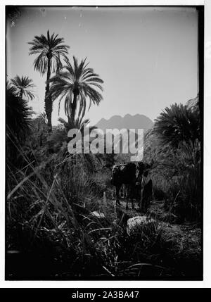 Mountain views of the sinai desert high-range area Stock Photo - Alamy