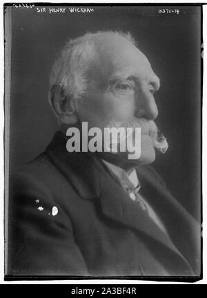 Sir Henry Wickham Stock Photo - Alamy