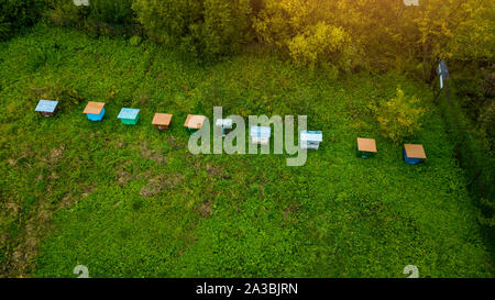 bee apiary with beehives top view green Stock Photo - Alamy