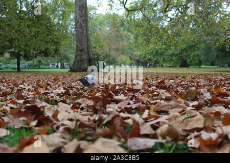 nature in its finest form Stock Photo - Alamy