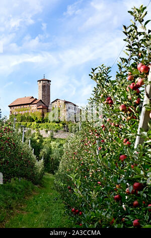 Valer Castle and the apple trees of the Non Valley. Trento province ...