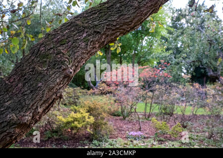 Park outside the walled garden at Eastcote House Gardens, photographed ...