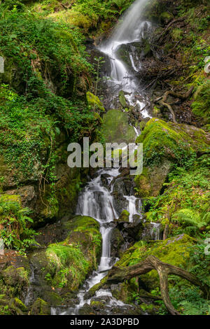 Water cascade near Burrator reservoir Dartmoor UK panoramic photography ...