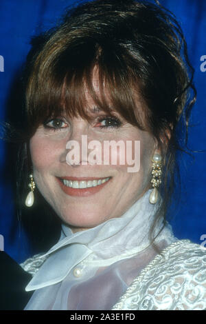 Michelle Lee, 1994, Photo By Michael Ferguson/PHOTOlink Stock Photo - Alamy