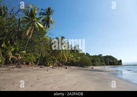 A scenic view of a sandy beach on Shell Island in Florida on a sunny ...