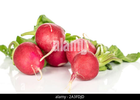 Group of five whole red radish with fresh green leaves isolated on ...