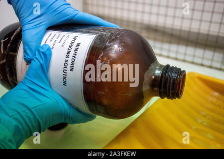 Latent fingerprints enhanced with Ninhydrin that reacts with amino ...