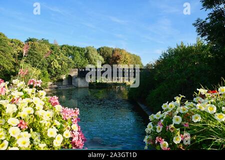 France, Cote d'Or, Dijon, Lake Kir, picnic Stock Photo - Alamy