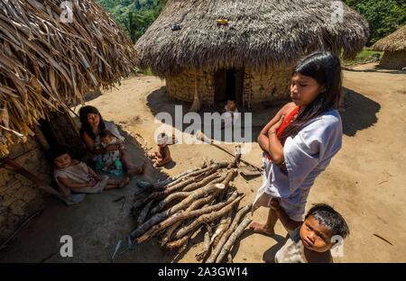 COLOMBIA South America People Kogi Tribe Portrait of a young Kogi man ...