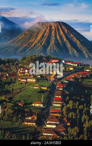 Volcano, Offering, Celebration, Volcano Bromo, Java, Indonesia Stock ...