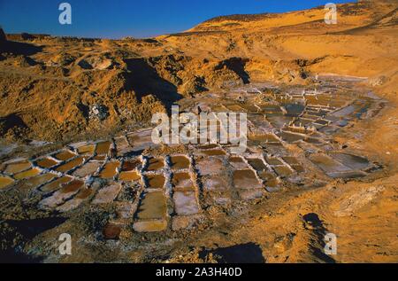 Niger Fachi People in desert. Nobles on their way to a funeral in oasis ...