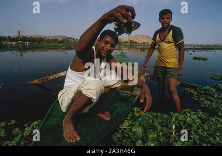 Egypt, Nile, Portraits of the inhabitants of the Nile Valley Stock ...