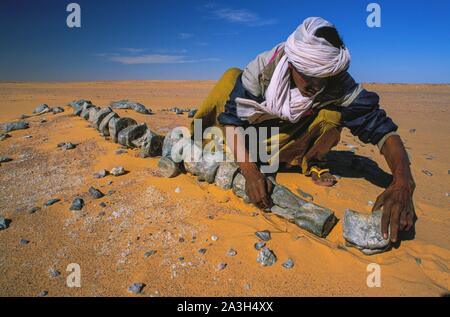 Niger, A?r and T?n?r?, Dinosaur deposit on Gadoufaoua site in the ...