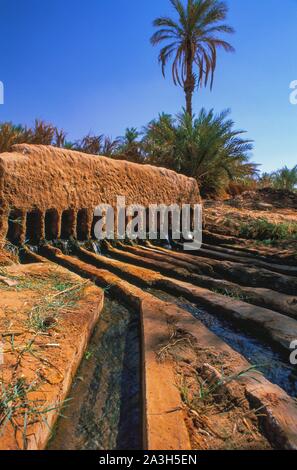 Algeria Timimoun Irrigation system Stock Photo - Alamy