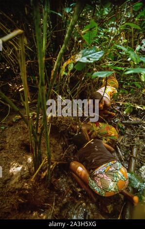 BAKA PYGMY WOMEN building a traditional hut, using leaves Cameroon ...