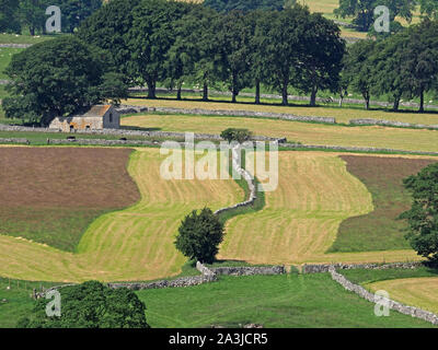 wavy patchwork pattern of partially mown hillside fields divided by ...
