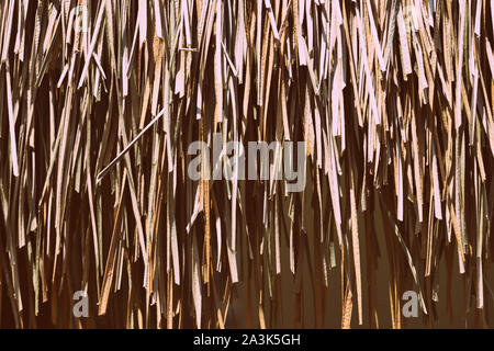 Palm roof texture close up. Tropical background Stock Photo - Alamy