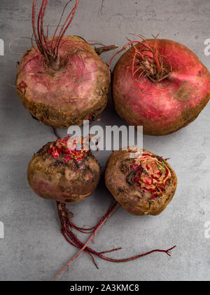 Fresh beet on grey background Stock Photo - Alamy
