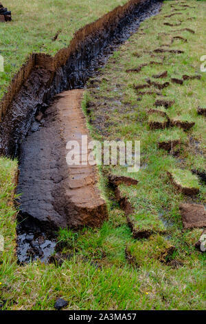 Freshly cut peat stacked to dry to be used a traditional fuel in ...
