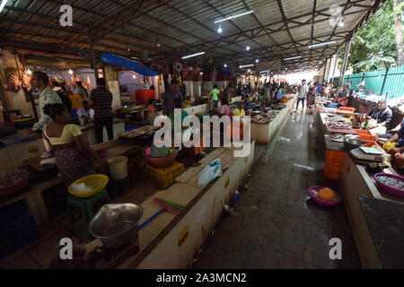 India Goa Fish Market at Panaji Stock Photo: 94735002 - Alamy