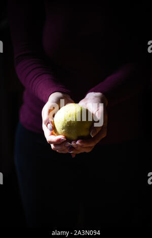 quince fruit in hand on white isolated background Stock Photo - Alamy