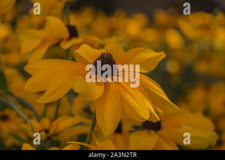 A picture of the Lower Barrakka Gardens, in Valletta Stock Photo - Alamy