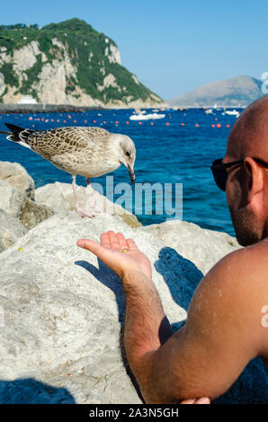 A man feeds a sea gull on the shore of Capri island in Italy. Travel ...