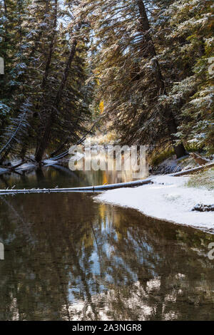 Scene from the Fenland Loop trail in Banff Alberta after the first ...