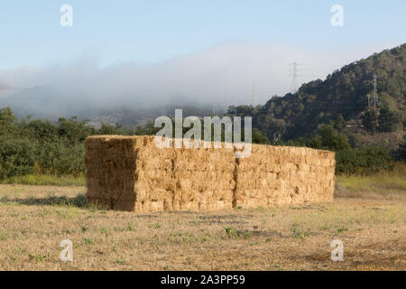 Stacked hay. Beautiful scenes along Route 46 in California Stock Photo ...