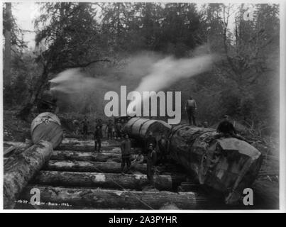 Steam logging in Washington - Kelso, photo Stock Photo - Alamy