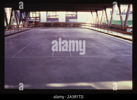 Stevensville, skating rink, Swan Lake, New York Stock Photo - Alamy