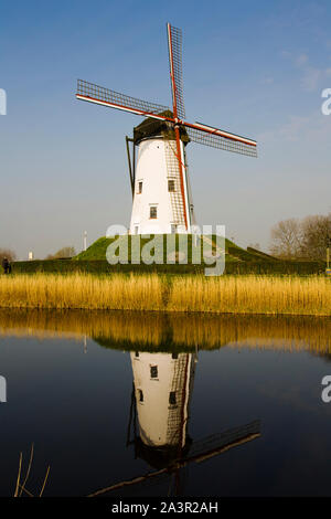 Traditional windmill at Damme, West Flanders, Belgium Stock Photo - Alamy