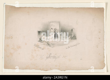 Swine; breeding, feeding and management Stock Photo - Alamy