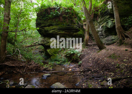 The mysterious Dunino Den, Dunino, St. Andrews, Fife, Scotland Stock ...
