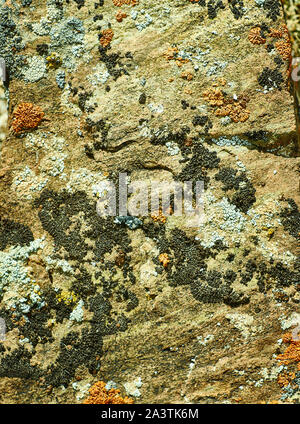 Mongolian Structure of surface of the stone,, large stone pattern Stock ...