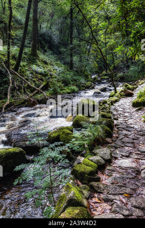 Dalegarth Falls, Eskdale, Lake District,UK Stock Photo - Alamy