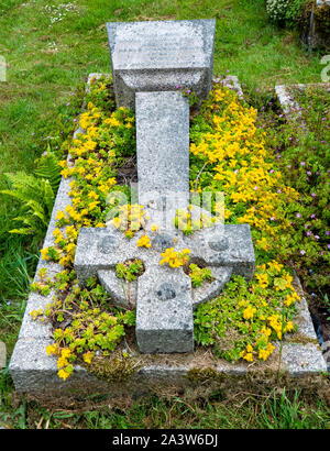 Bees on sedum flower Stock Photo - Alamy