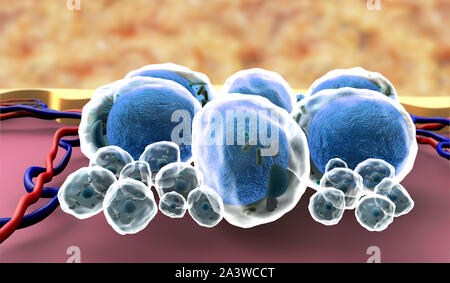 subcutaneous fat, illustration of human leather anatomy, fat cells and ...