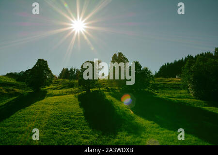 Beautiful green landscape in Soll, Austrian alps, Tyrol, Austria Stock ...