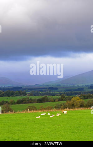 Dark skies over Murton Pike, Northern Pennines Stock Photo - Alamy