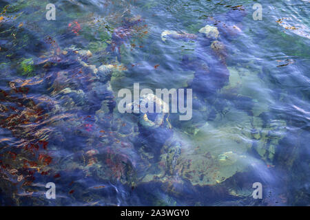 Denmark. Copenhagen. The Merman and his seven sons, belonging to the ...