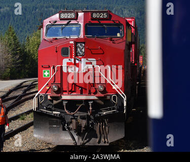 Canadian Pacific Railways train passes through the Morant's Curve, Banff National Park, Alberta ...