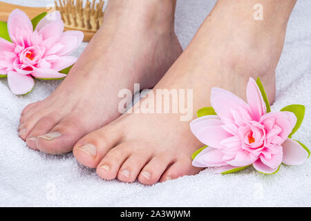 Leg Spa Massage. Reflex Zone Muscle Therapy Stock Photo - Alamy