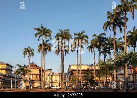 THE CITY OF CAYENNE WITH THE PLACE DES PALMISTES, THE CATHEDRAL AND THE ...