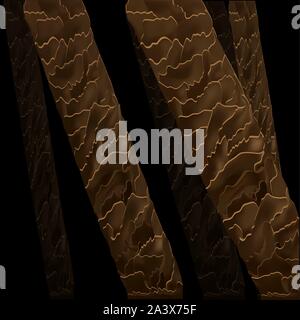 Structure Human Hair Under Microscope. Anatomy of Normal Hair Stock ...