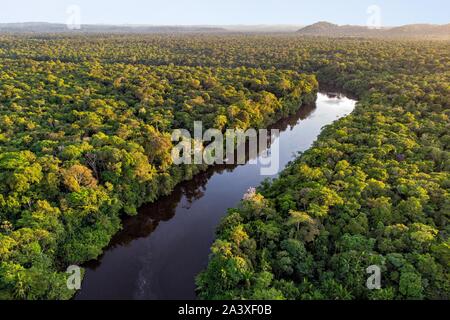 THE KOUROU RIVER SEEN THROUGH THE CANOPY OF THE AMERINDIAN FOREST ...
