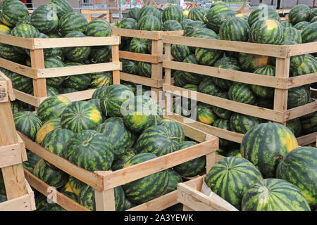 Big Watermelons in Crates at Wholesale Warehouse Stock Photo - Alamy